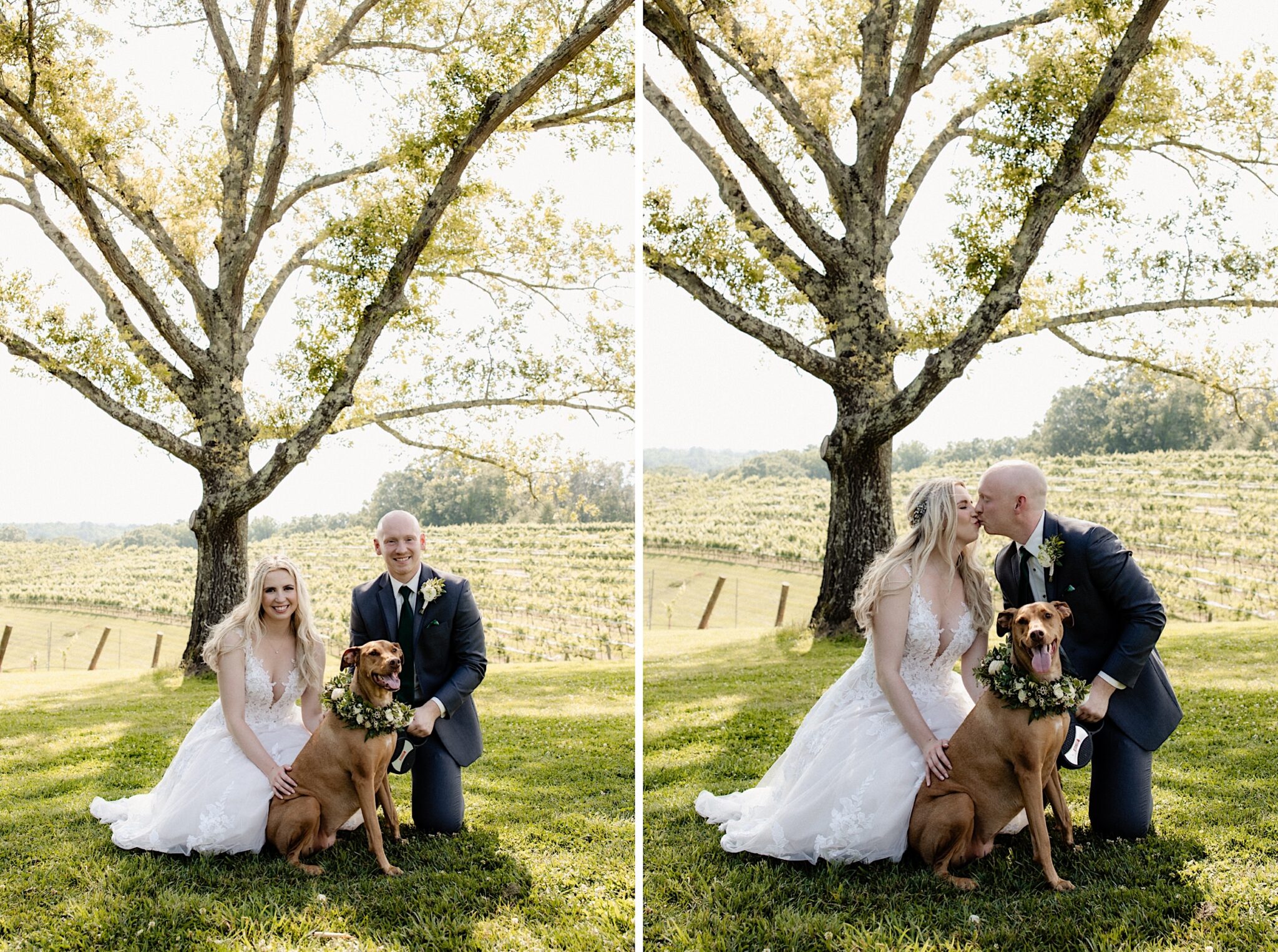 Montaluce Winery Wedding – Saturday Sun Photography