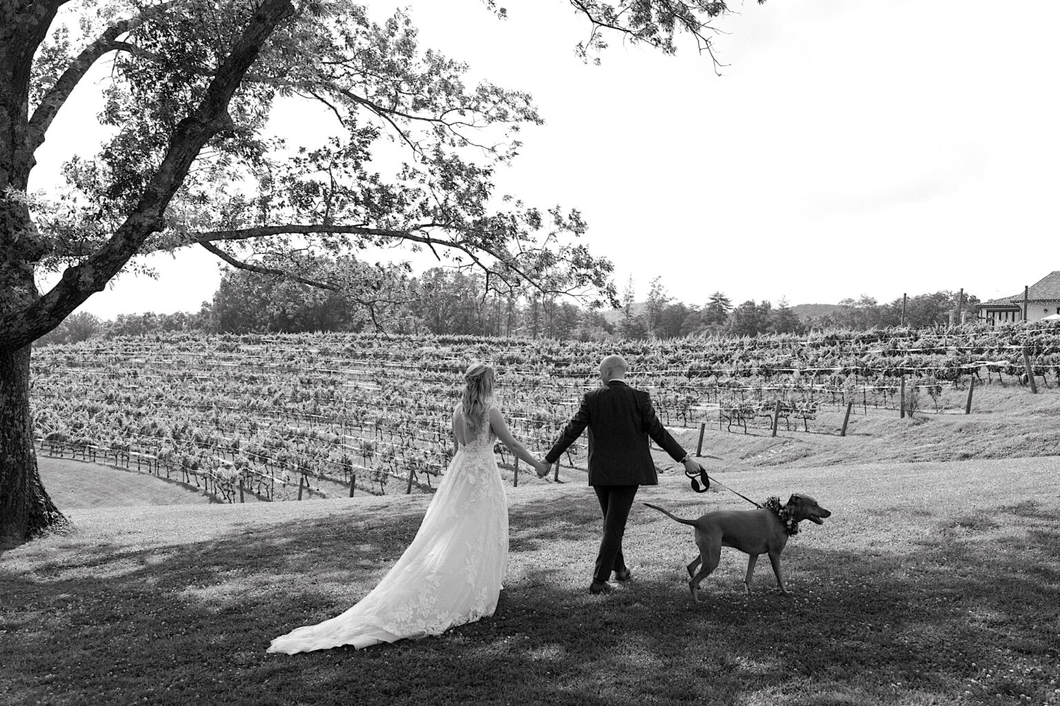 Montaluce Winery Wedding – Saturday Sun Photography