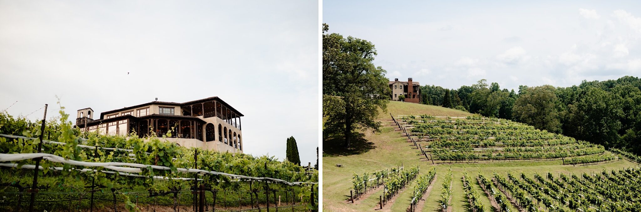 Montaluce Winery Wedding – Saturday Sun Photography