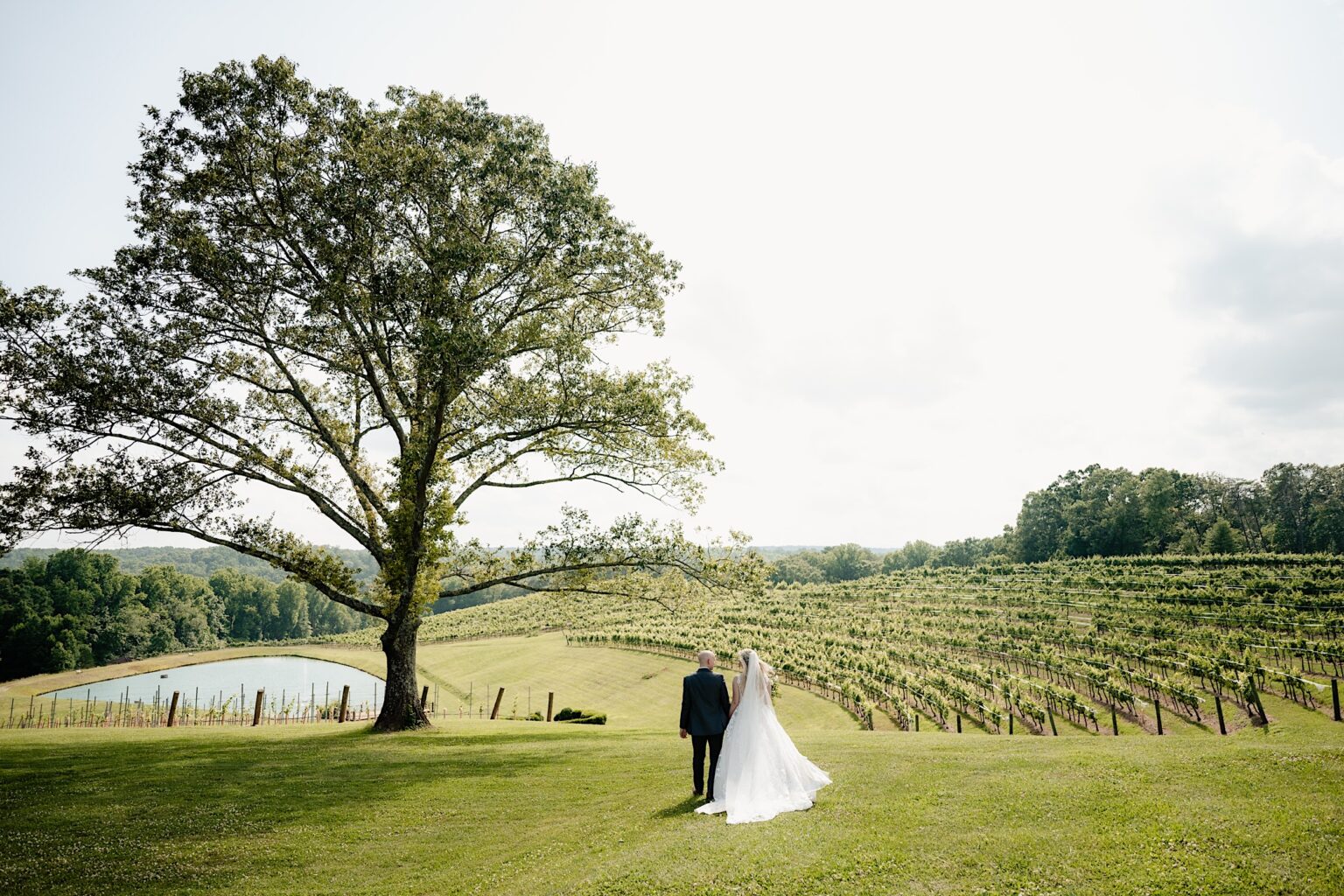 Montaluce Winery Wedding – Saturday Sun Photography