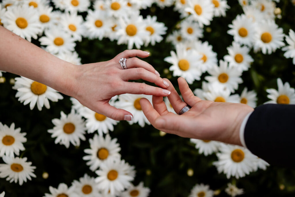 Montaluce Winery Wedding | Photos, Cost & Tips 2025