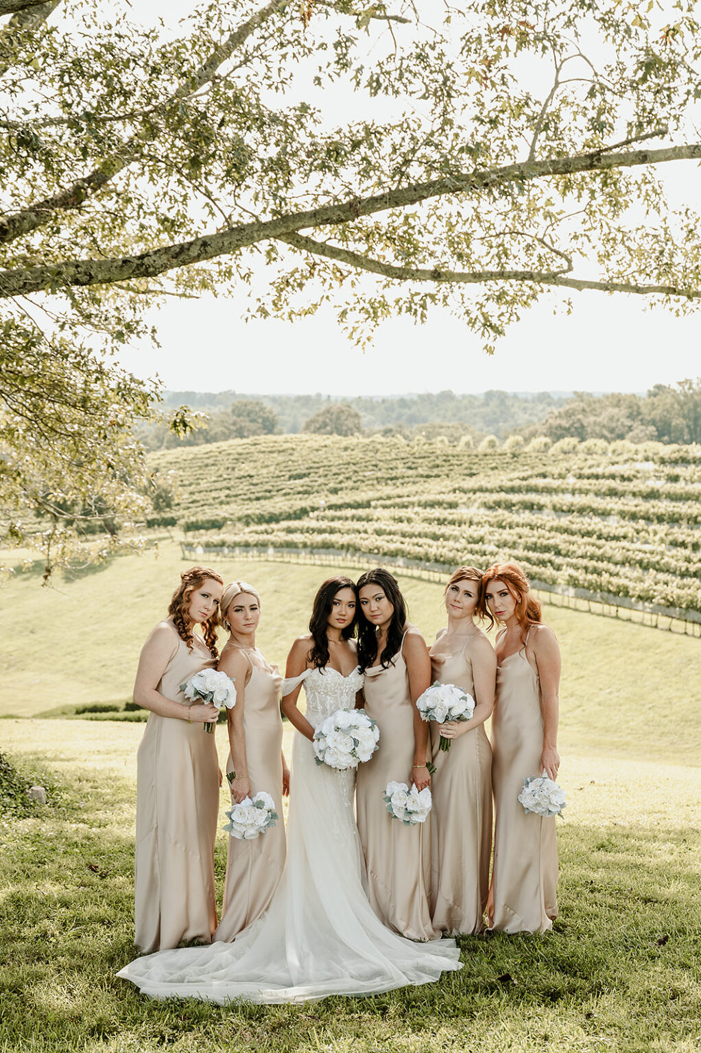 Montaluce Winery Wedding | Photos, Cost & Tips 2025