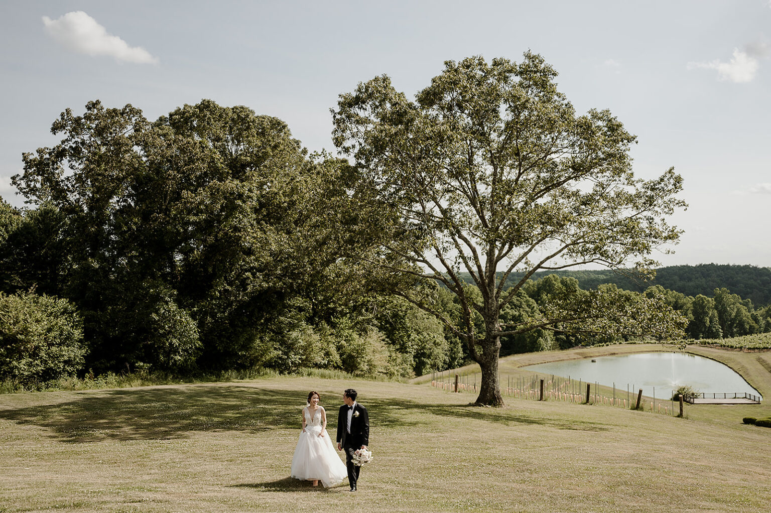 Montaluce Winery Wedding | Photos, Cost & Tips 2026